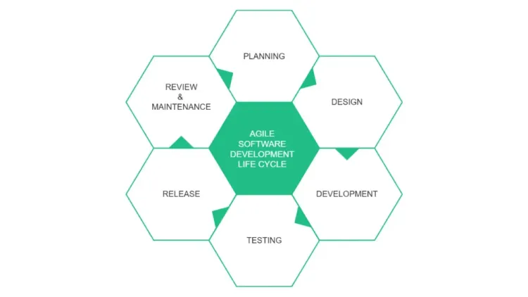 Agile Software Development Life Cycle: Stages, Benefits, and Tools
